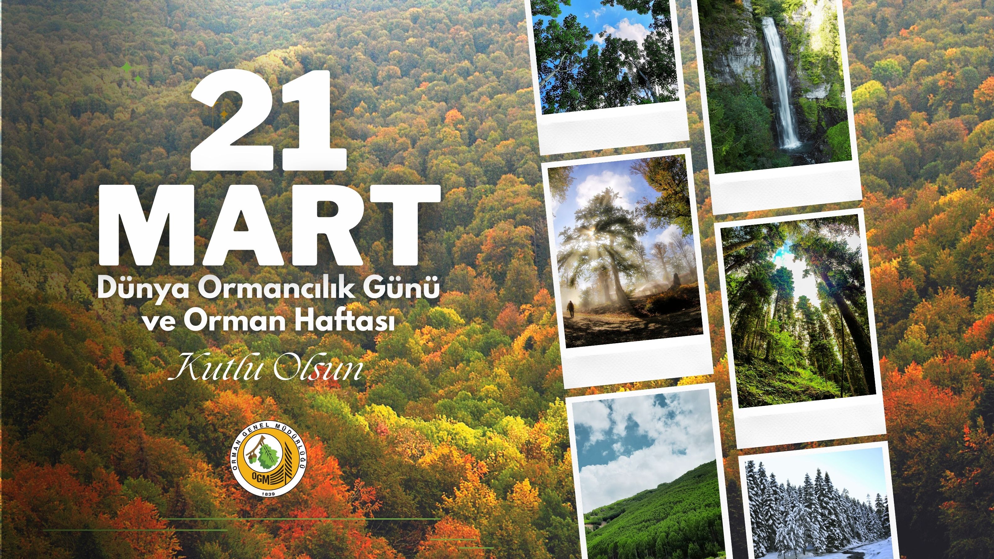 Haberler 21 Mart Dünya Ormancılık Günü Ve Orman Haftası Kutlu Olsun